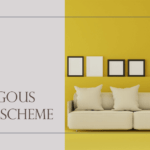 Mastering Split Complementary Color Schemes in Interior Design