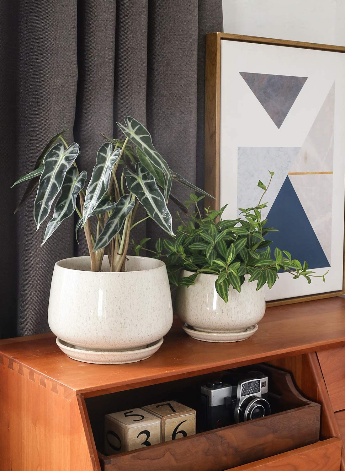 Best Indoor Planters of 2023: Enhance Your Interior Design with these ...